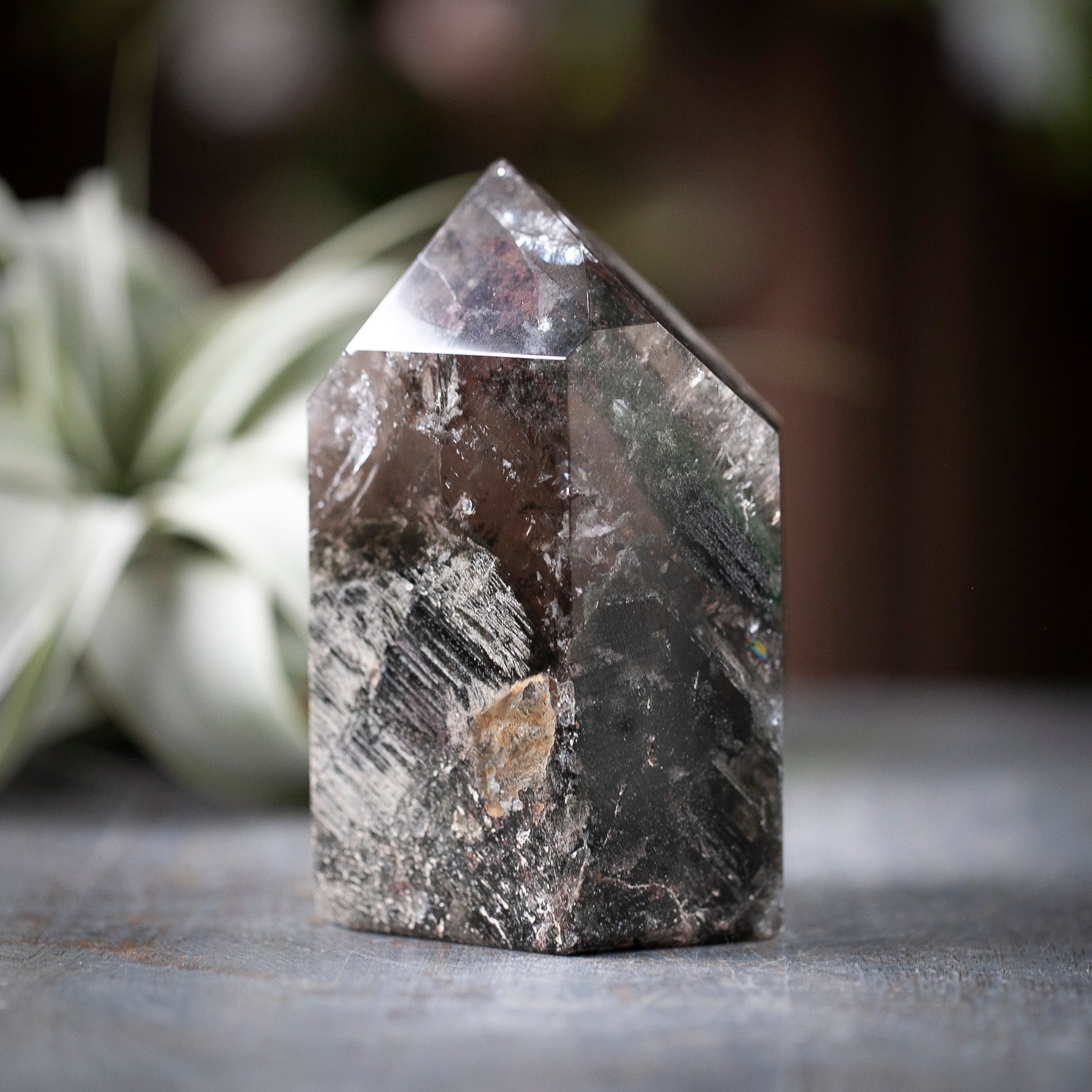 Chlorite, Lodolite and Garden Quartz – Cape Cod Crystals