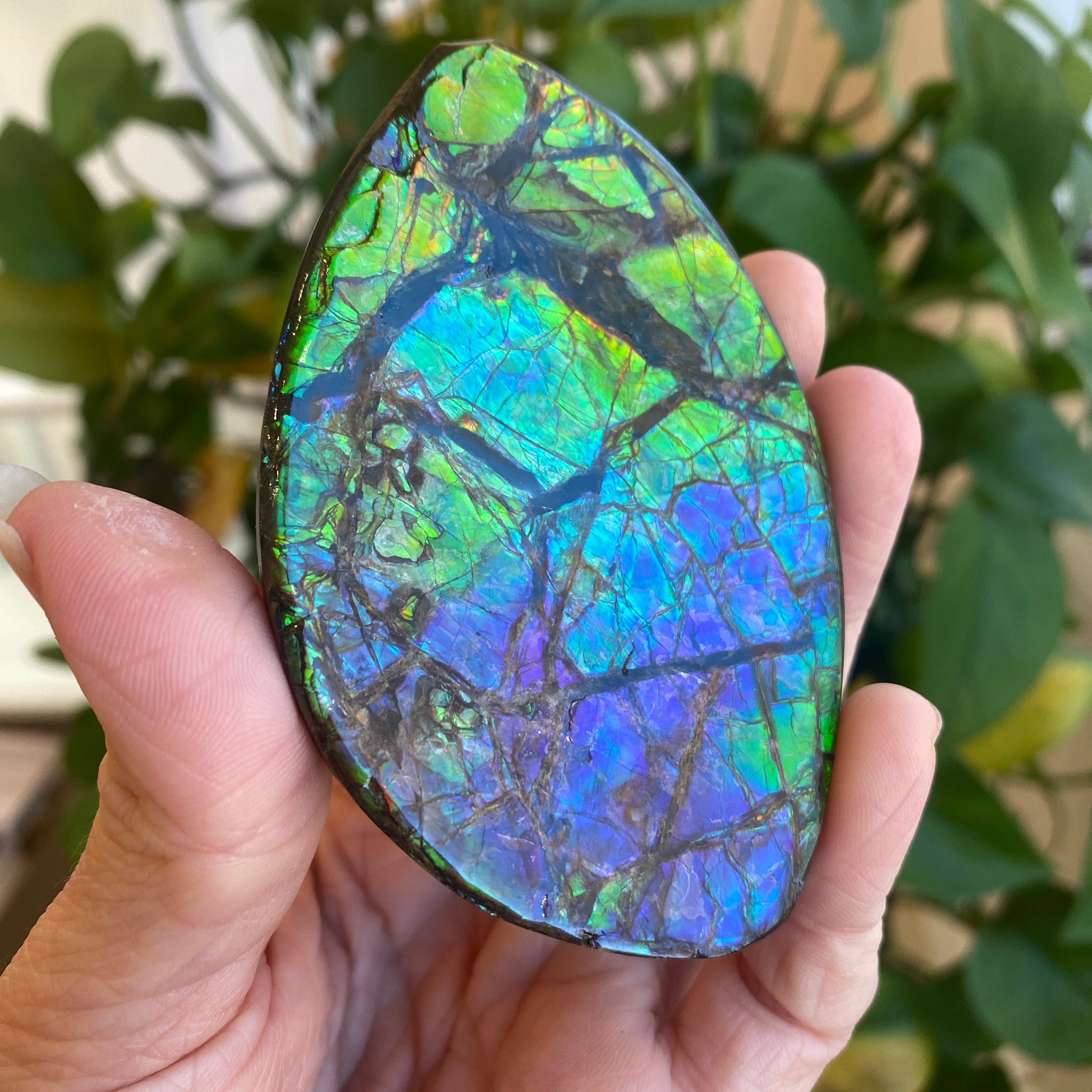 Cape Cod Crystals Shop All New Crystals – Page 2