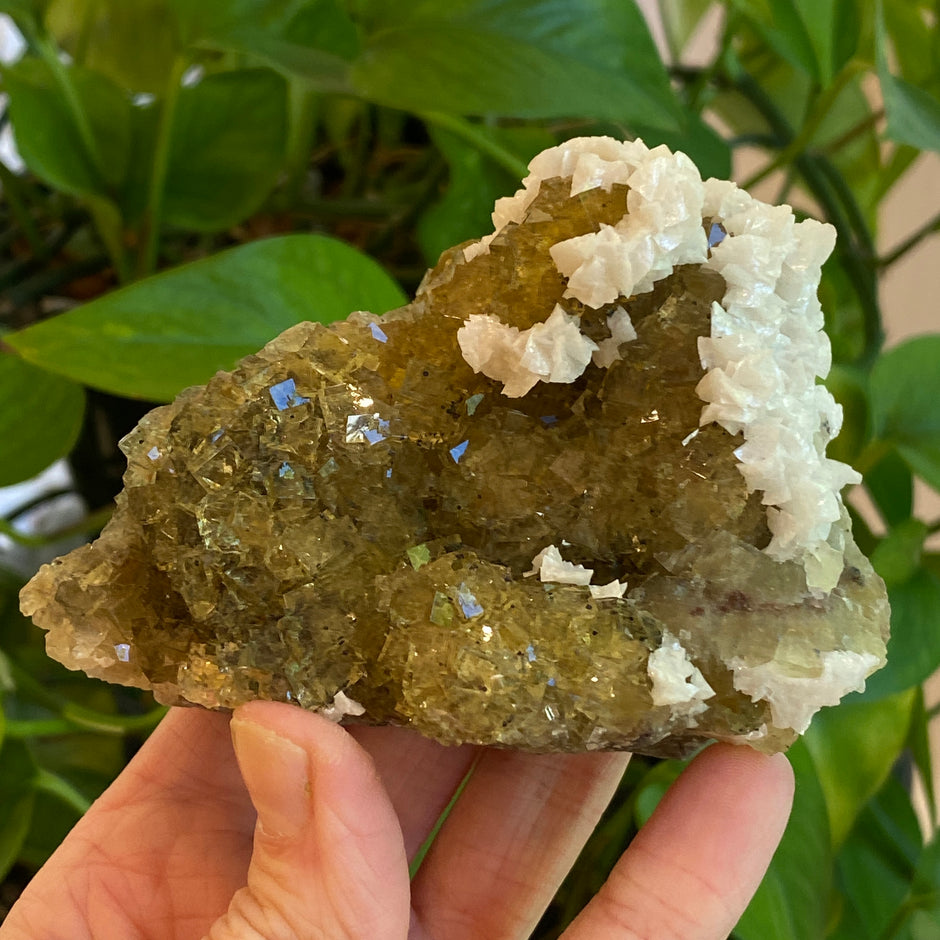 Cape Cod Crystals Shop All New Crystals