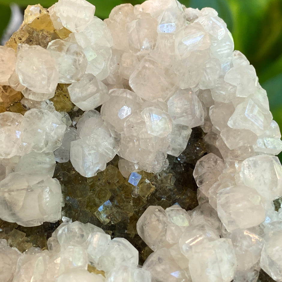 Cape Cod Crystals Shop All New Crystals