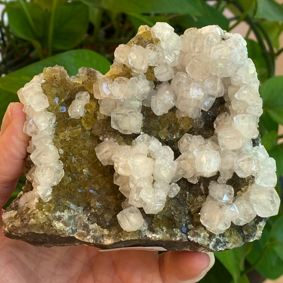 Cape Cod Crystals Shop All New Crystals