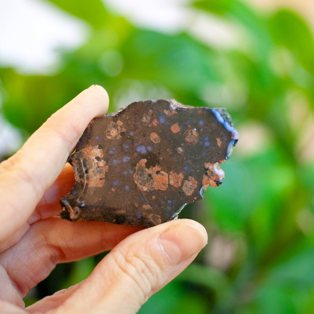 Cape Cod Crystals Shop All New Crystals